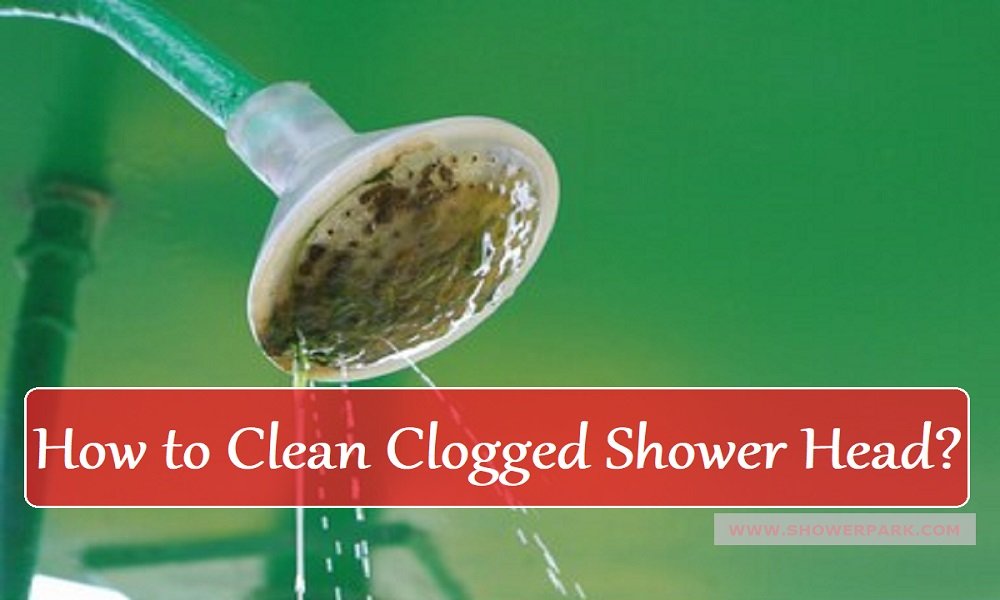 How To Clean Clogged Shower Head 10 Easy Steps Shower Park